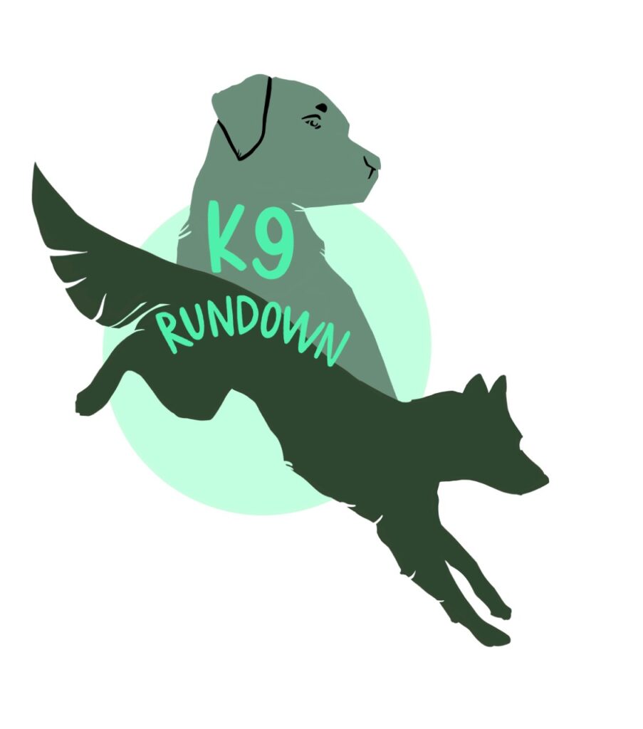 Home - Cruz Web Designs